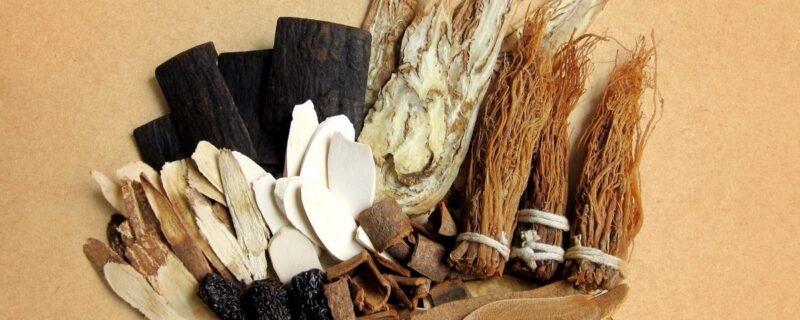 Traditional Chinese Medicine May Offer Hope for AIDS - School of Future ...